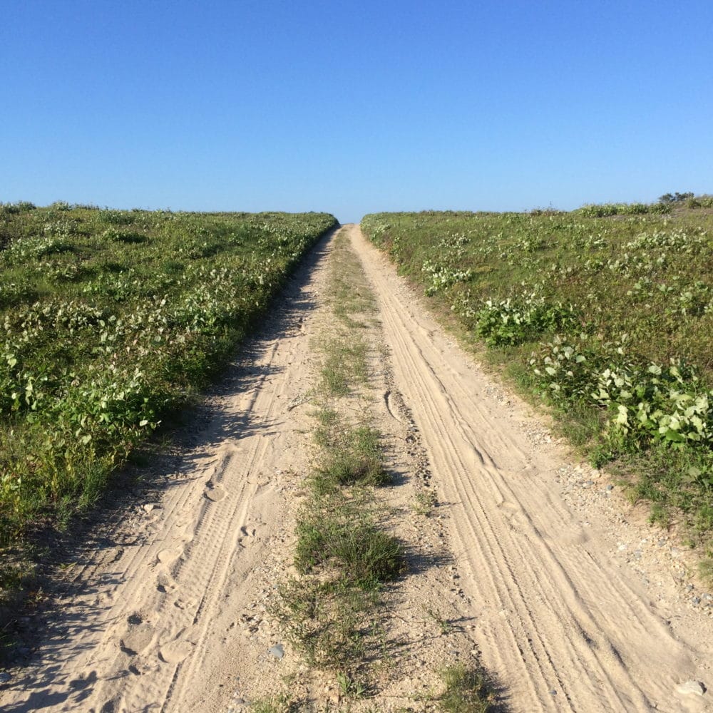 Altar Rock - Nantucket Magazine
