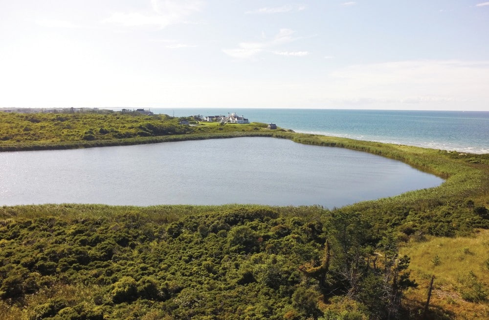 POISONOUS PONDS? - Nantucket Magazine
