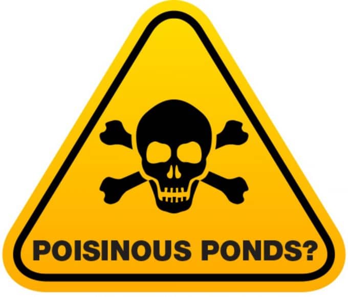 POISONOUS PONDS? - Nantucket Magazine